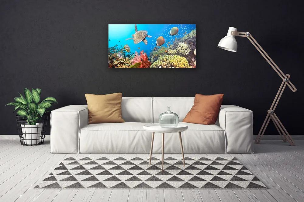 Obraz na plátně Korálový Útes Krajina 100x50 cm