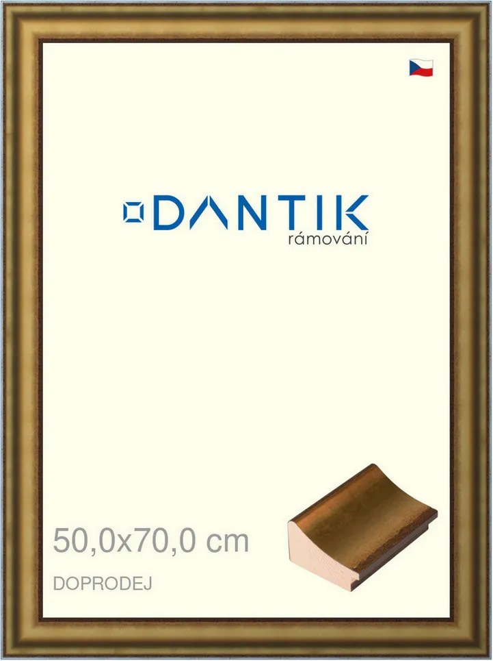 DANTIK rámeček 50x70 | Doprodej | METAL AU prohlá velká (Plexi Čiré)