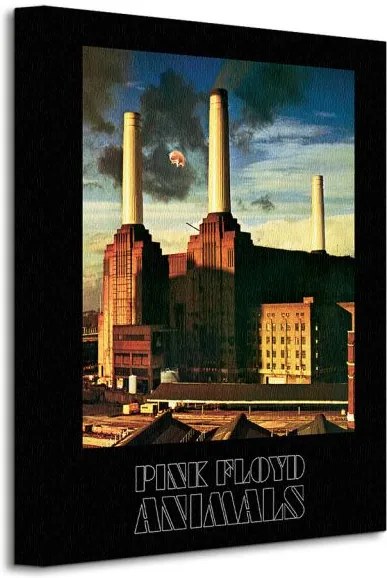 Obraz na plátně Pink Floyd (Animals) 30x40cm WDC92055