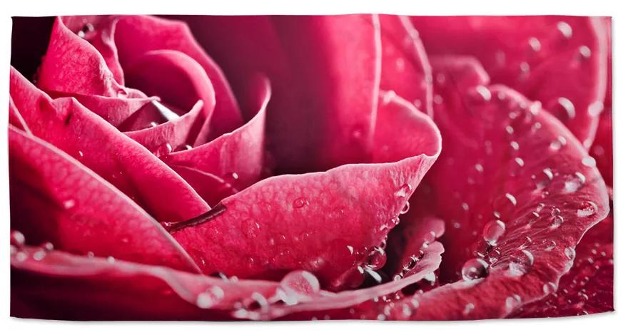 Ručník SABLIO - Detail růže 50x100 cm