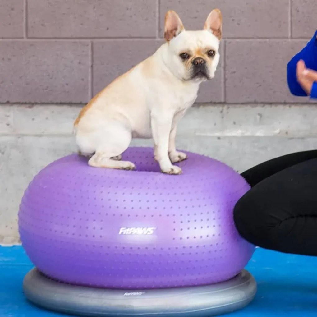 Fitpaws Balanční Míč Pro Domácí Mazlíčky Trax Donut 55 Cm Fialový
