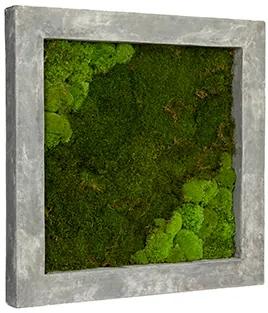 Mechový obraz Polystone raw grey 70x70 cm