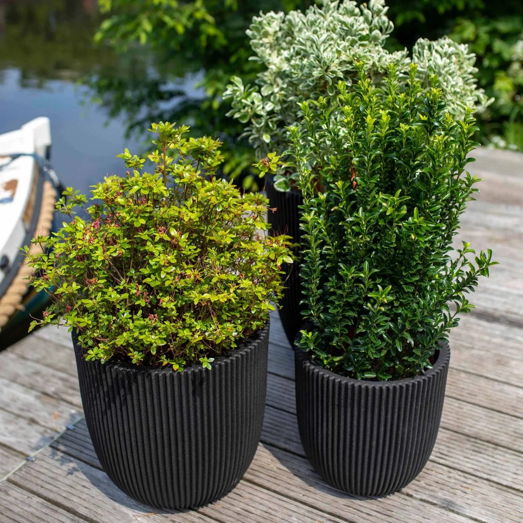 Capi Nature Groove NL Planter Ball Black Ø 35 cm / V 34 cm