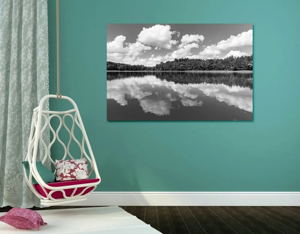 Obraz příroda v letním období v černobílém provedení - 60x40 cm