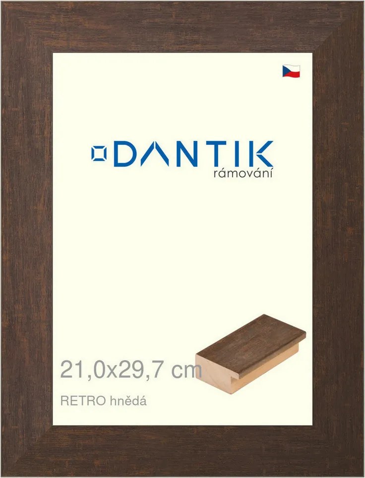 DANTIK rámeček 21x29,7 | RETRO hnědá (Sklo Čiré)
