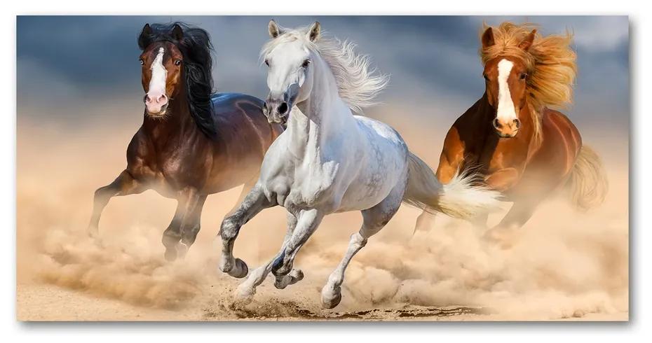 Wallmuralia Foto obraz fotografie na skle Koně na poušti 120x60 cm