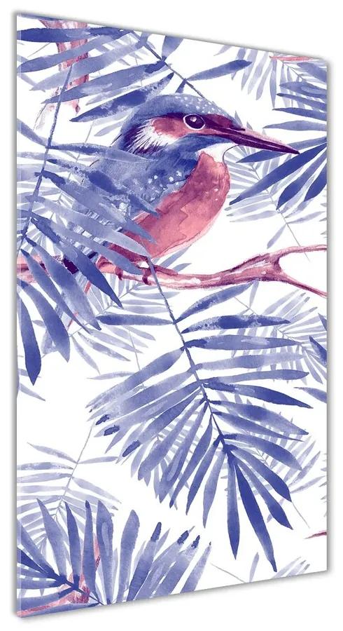 Wallmuralia Foto obraz akrylový Listí palmy a pták 60x120 cm