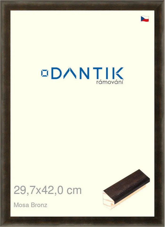 DANTIK rámeček 29,7x42 | Mosa bronz (Plexi Čiré)