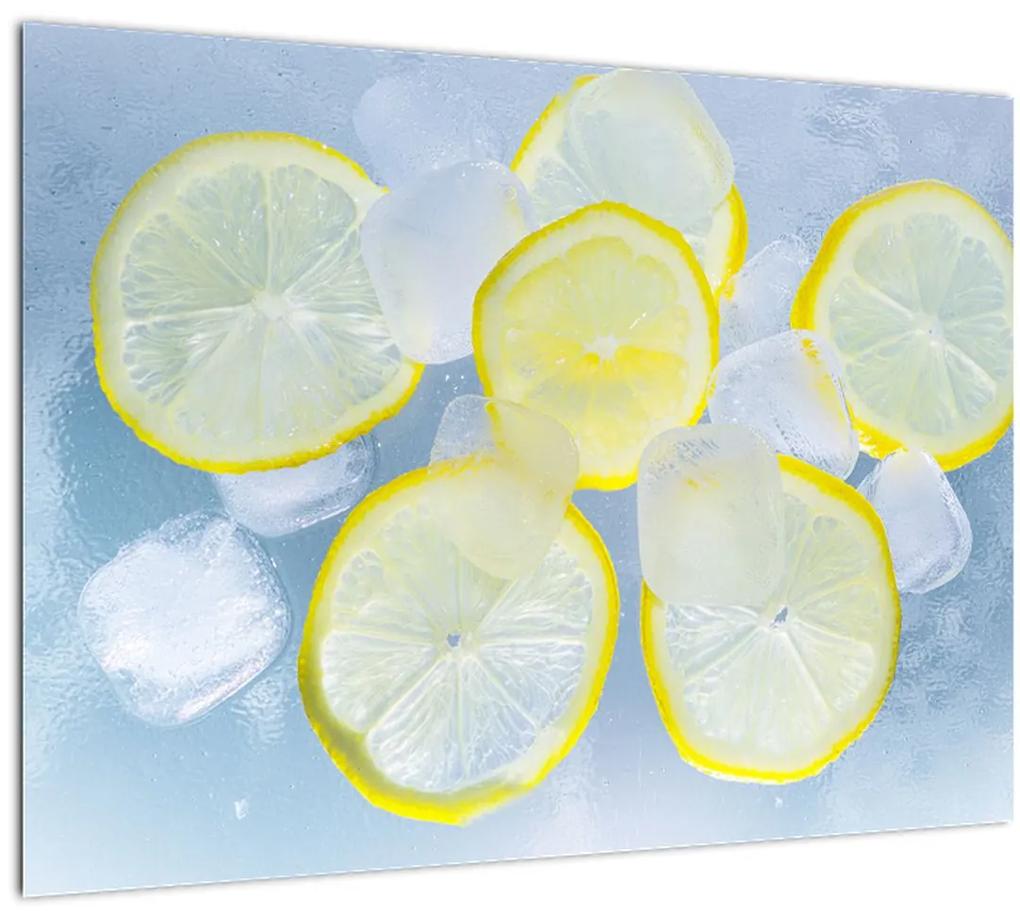 Obraz citrónů v ledu (70x50 cm)
