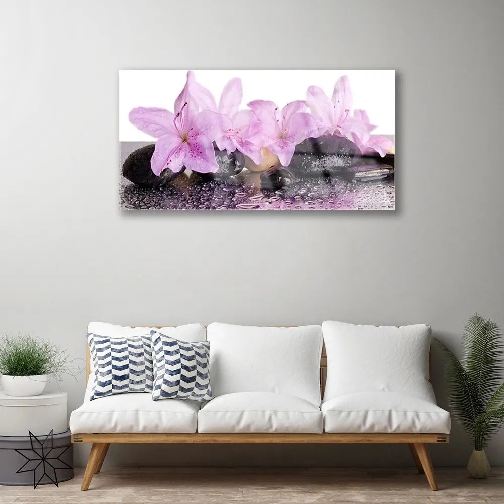 Plexisklo-obraz Květiny Kameny Zen Lázně 100x50 cm