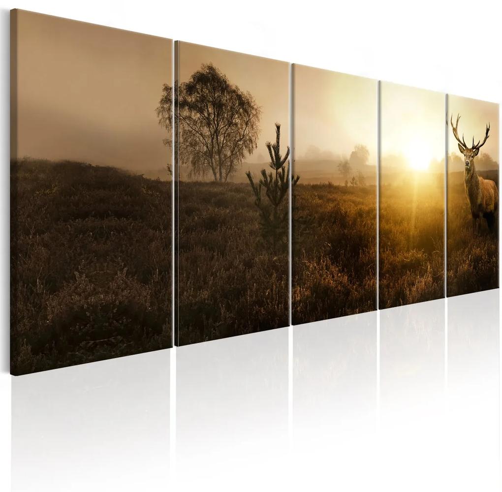 Murando DeLuxe Vícedílný obraz - jelen v zapadajícím slunci Velikost: 225x90 cm