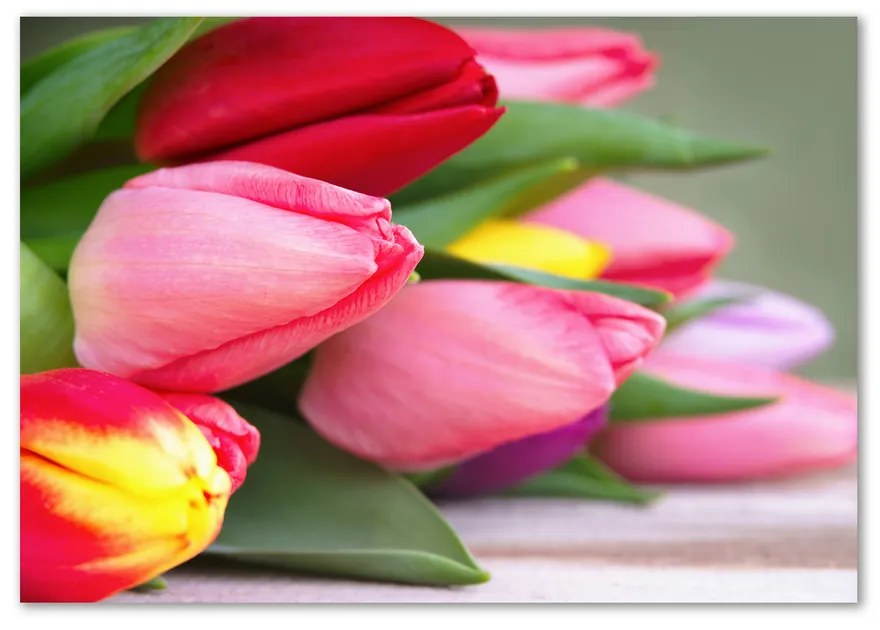 Wallmuralia Foto obraz fotografie na skle Barevné tulipány 100x70 cm