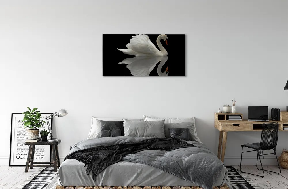 Obrazy na plátně Swan v noci 140x70 cm