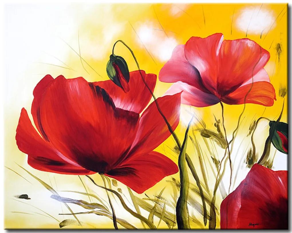 Obraz Krásné máky (1-dílný) - louka červených květů na slunečním pozadí