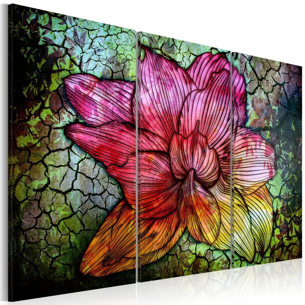 Obraz na plátně Bimago - Duhová květina 60x40 cm