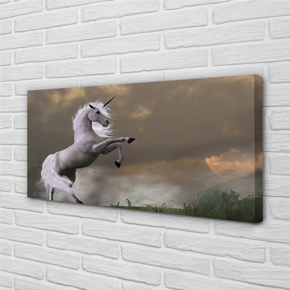 Obrazy na plátně Unicorn top 120x60 cm