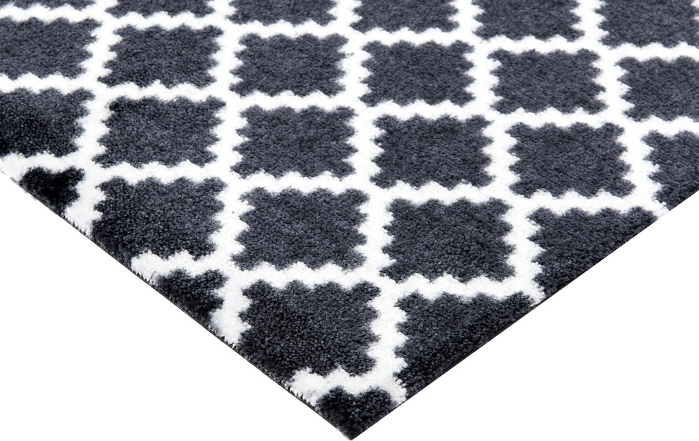 Hanse Home, Protiskluzová rohožka Home Black White 103156, 50x70, černobílá, chodba / předsíň