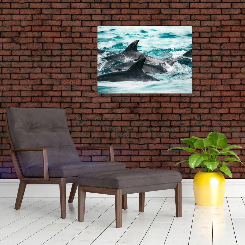 Skleněný obraz - Delfíni v oceáně (70x50 cm)