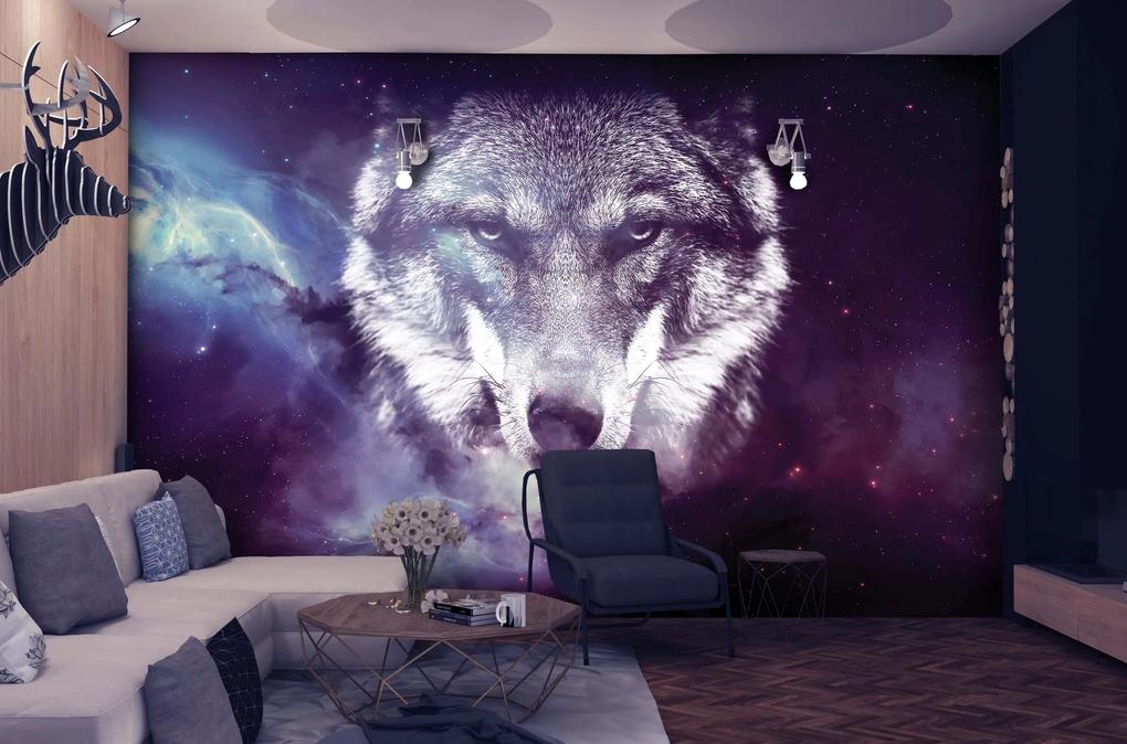 Malvis Tapeta vesmírný vlk Vel. (šířka x výška): 504 x 310 cm