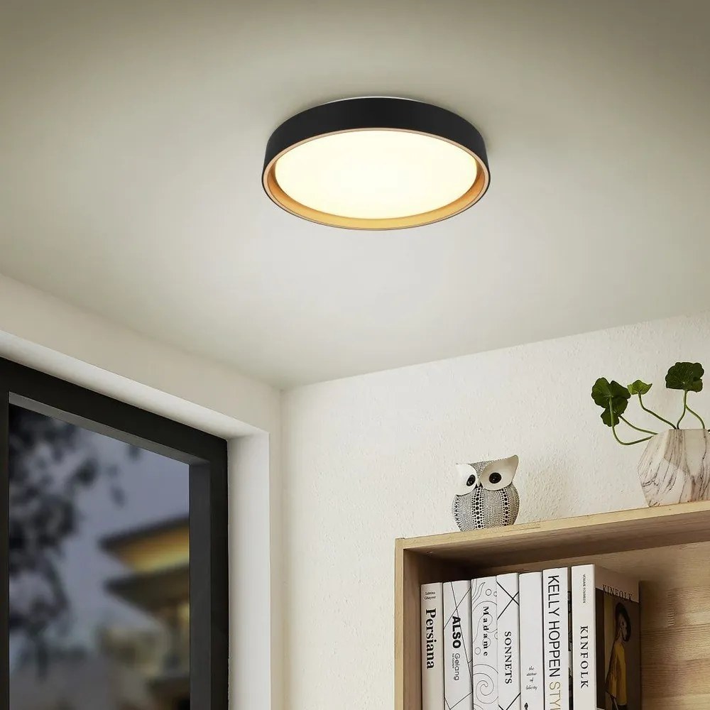 Černé LED stropní svítidlo ø 40 cm Felis – Reality