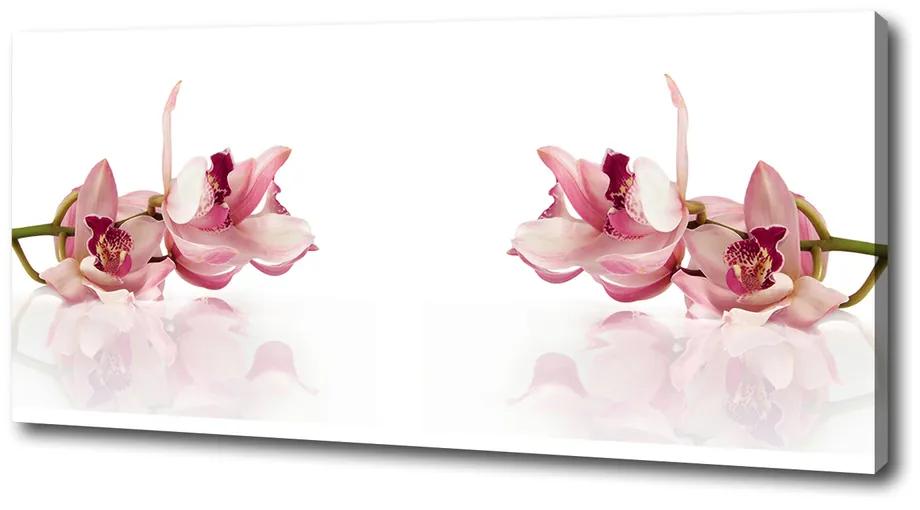 Wallmuralia Foto obraz na plátně do obýváku Orchidej 125x50 cm