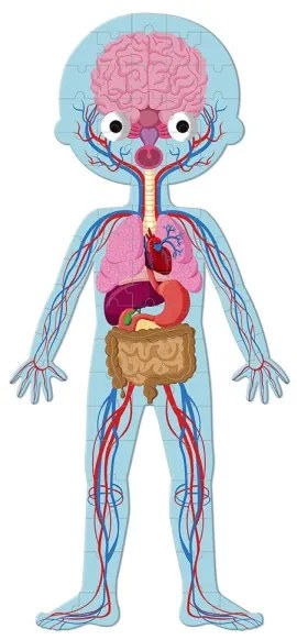 Janod - Dětské vzdělávací puzzle 225 ks lidské tělo