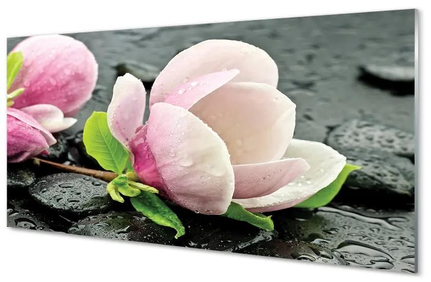 Obraz na skle Magnolia kameny 100x50 cm