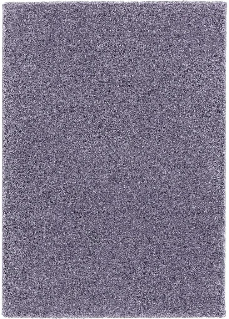 Koberce Breno Kusový koberec DOLCE VITA 01/LLL, Fialová, 160 x 230 cm