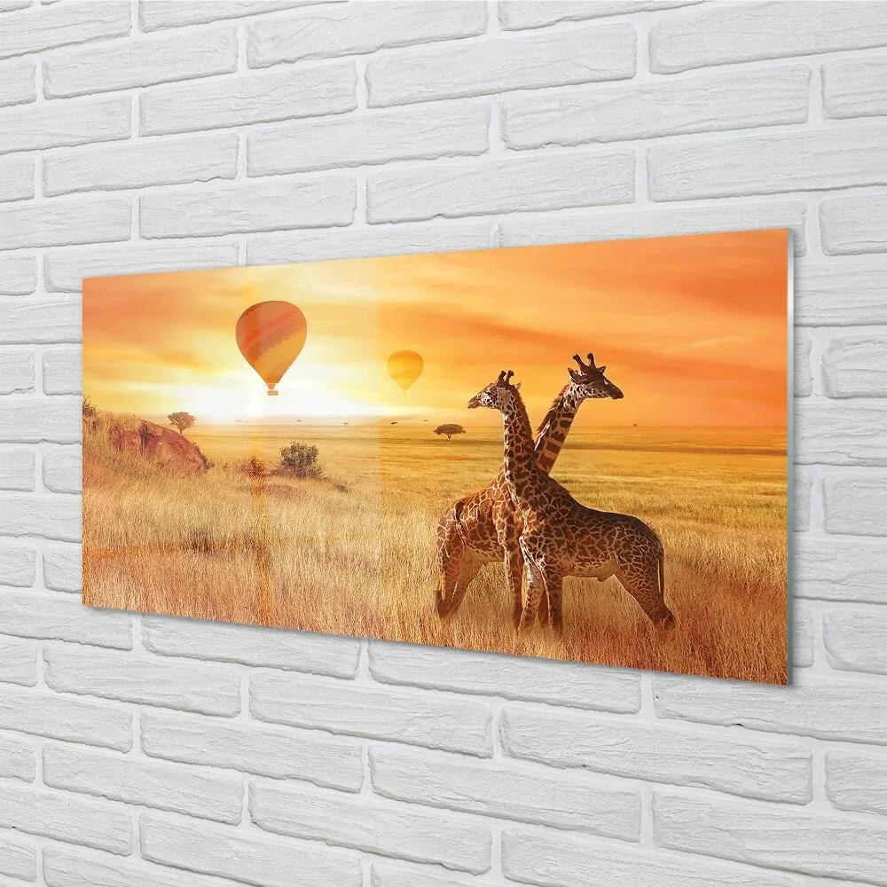 Obraz na skle Balóny nebe žirafa 100x50 cm