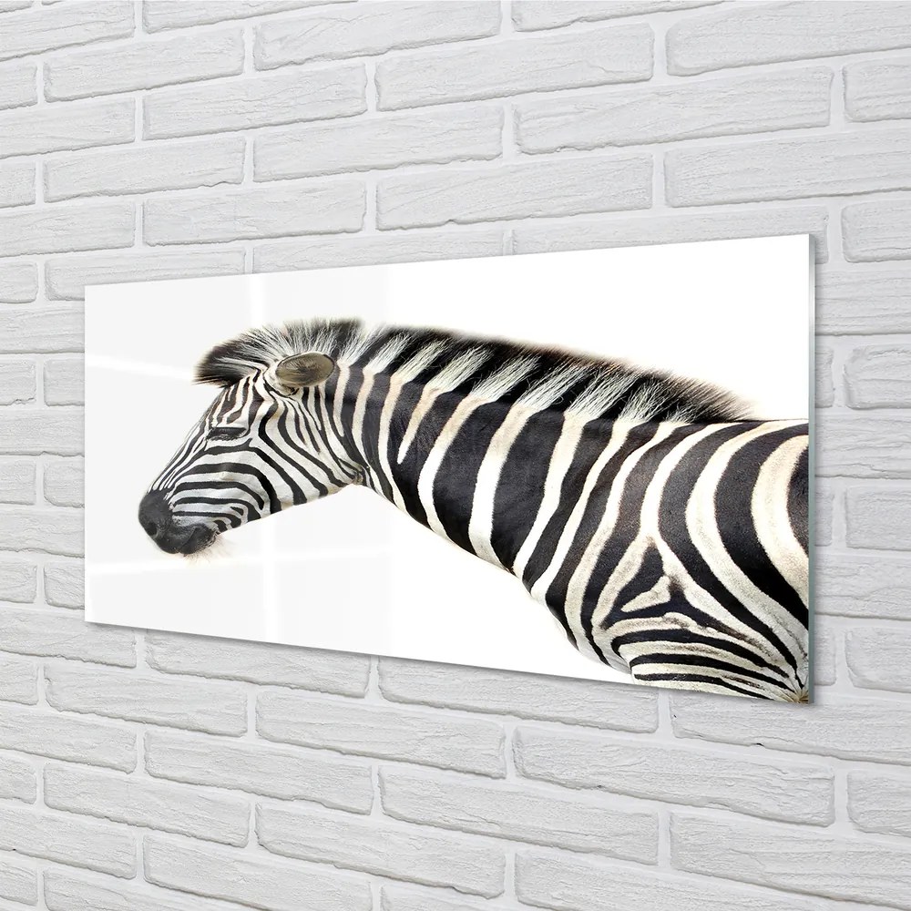 akrylový obraz zebra 140x70 cm