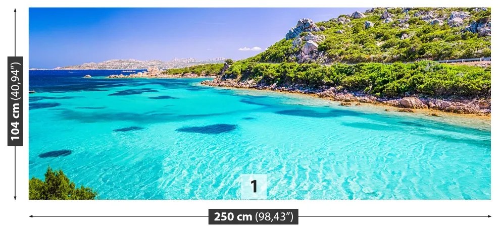 Fototapeta Sardínie moře 104x70