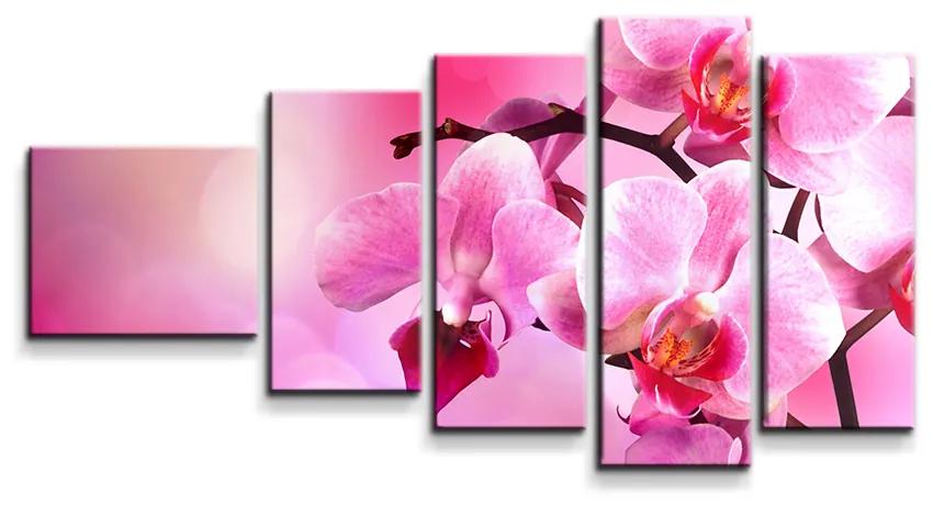 Obraz - 5-dílný SABLIO - Květy orchideje 100x60 cm