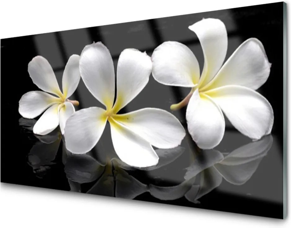 Akrylové obraz Skleněný Květiny Rostlina