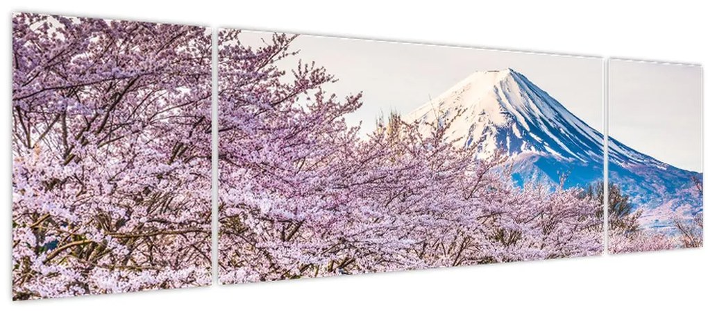 Obraz - Japonsko na jaře (170x50 cm)