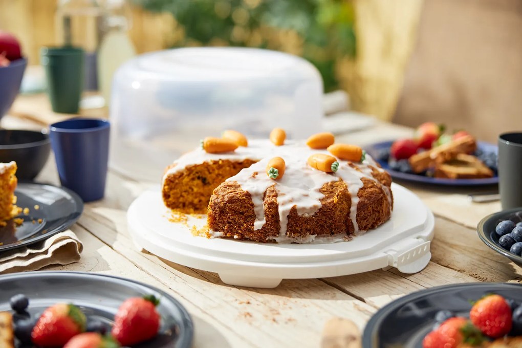 Rotho Dóza, podnos, box na dort FRESH CAKE s uchem na přenášení, bílý