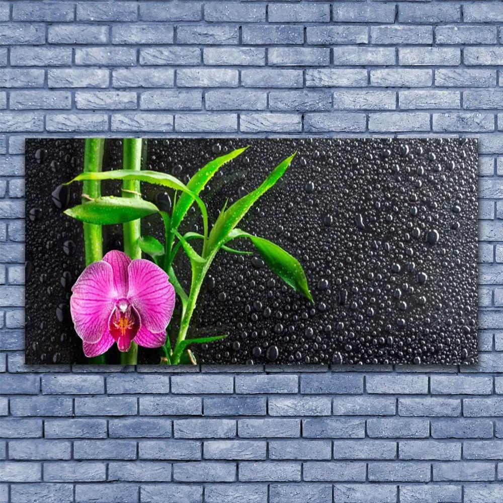 akrylový obraz Bambus Květ Kapky 120x60 cm