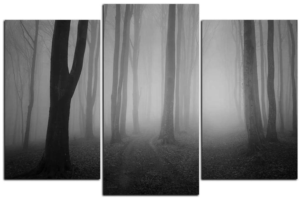 Obraz na plátně - Mlha v lese 1182QC (135x90 cm)