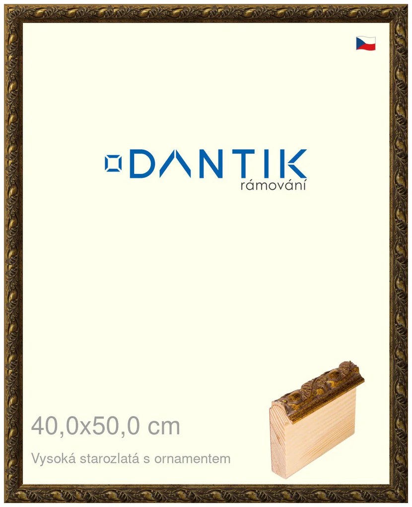 DANTIK rámeček 40x50 | Vysoká starozlatá s ornamentem (Plexi Čiré)