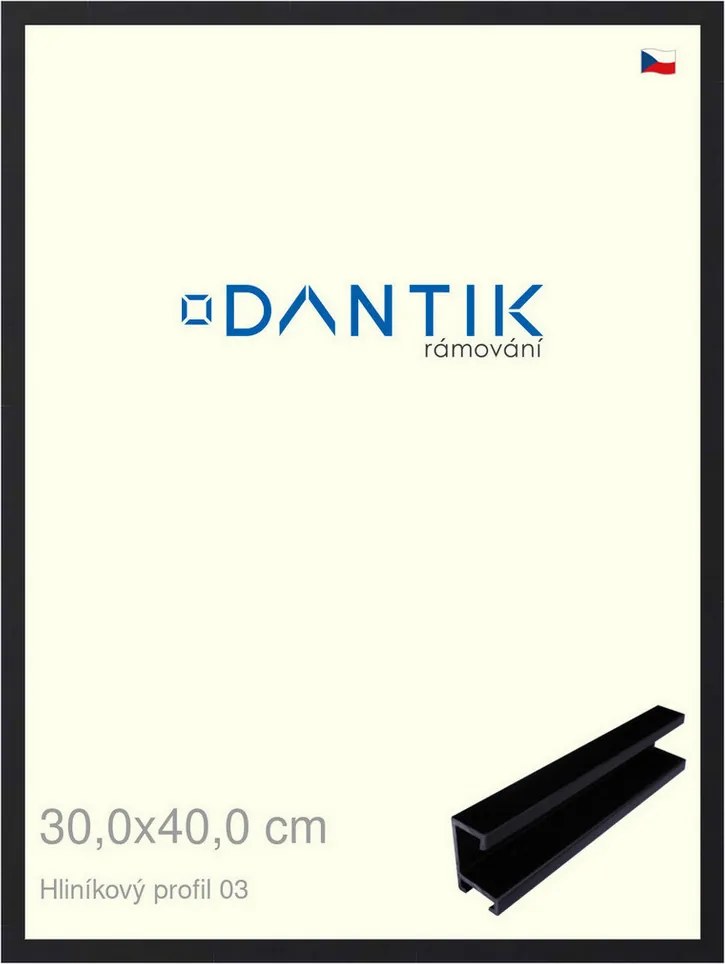 DANTIK rámeček 30x40 | ALU profil 7003 Černá matná (Plexi Čiré)