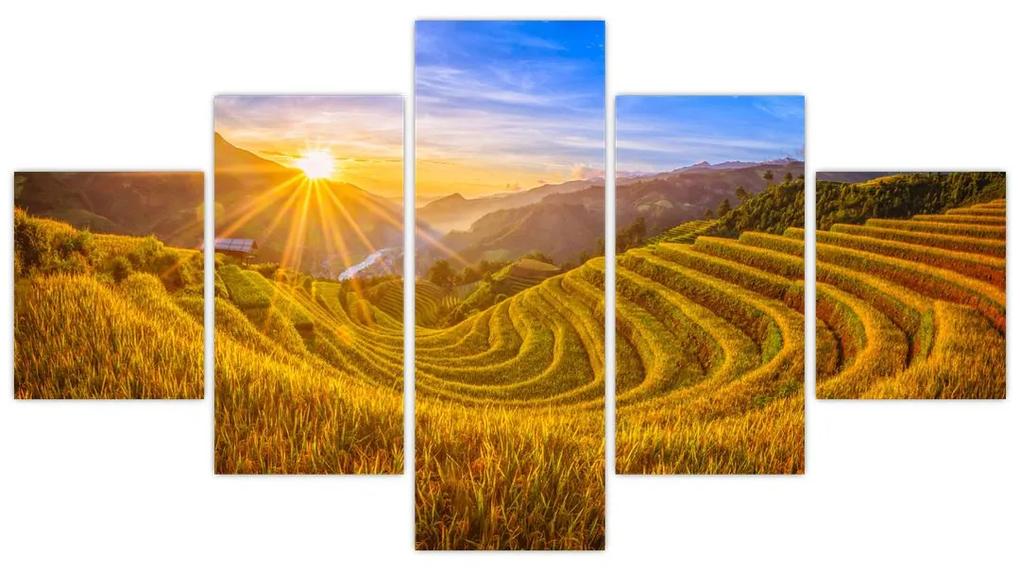 Obraz - Rýžové terasy ve Vietnamu (125x70 cm)