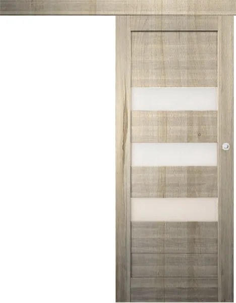 posuvné interiérové dveře na stěnu vasco doors SANTIAGO model 6 Průchozí rozměr: 70 x 197 cm, Orientace dveří: Levé dveře, Dekor: Dub stříbrný