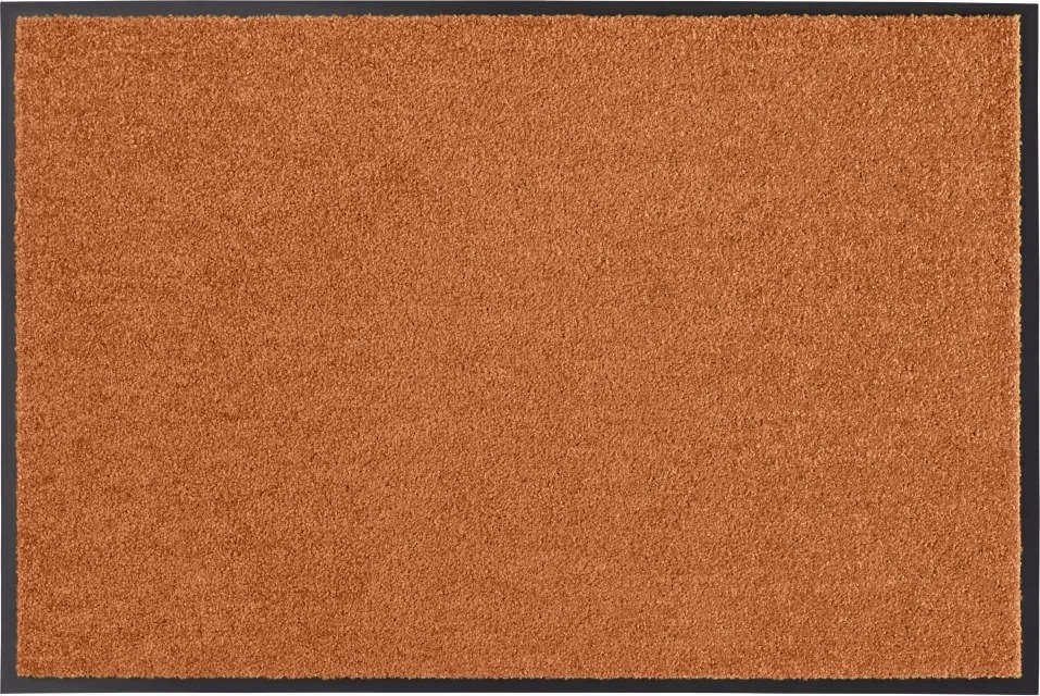 Hanse Home Collection koberce Rohožka Wash & Clean 101469 Orange 120x180