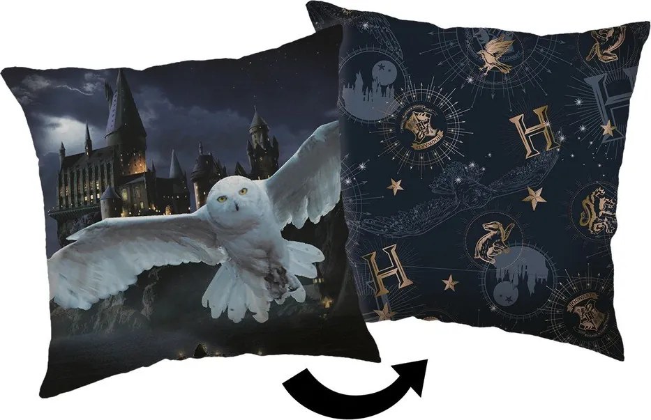 Dětský polštářek ø 40 cm Harry Potter "Hogwarts 01" – Jerry Fabrics