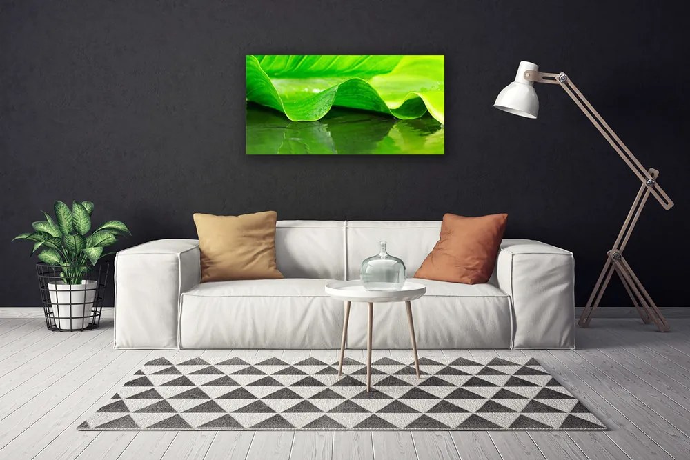 Obraz na plátně Liść Roślina Natura 120x60 cm