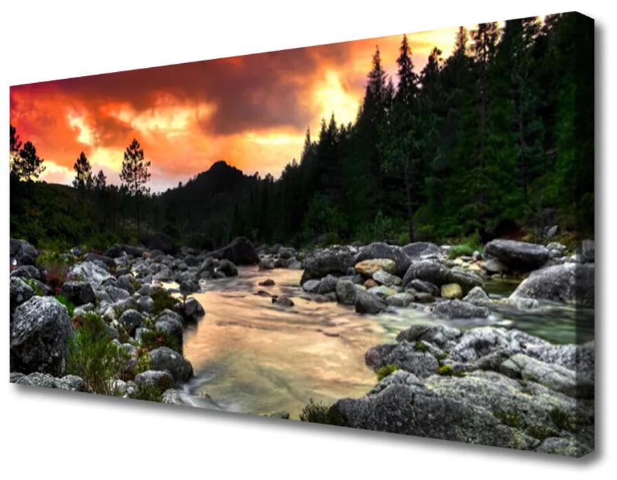 Obraz na plátně Jezero Kameny Les Příroda 125x50 cm