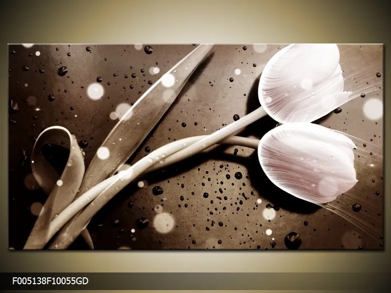 Černobílý obraz propletených tulipánů (), 40 dalších rozměrů