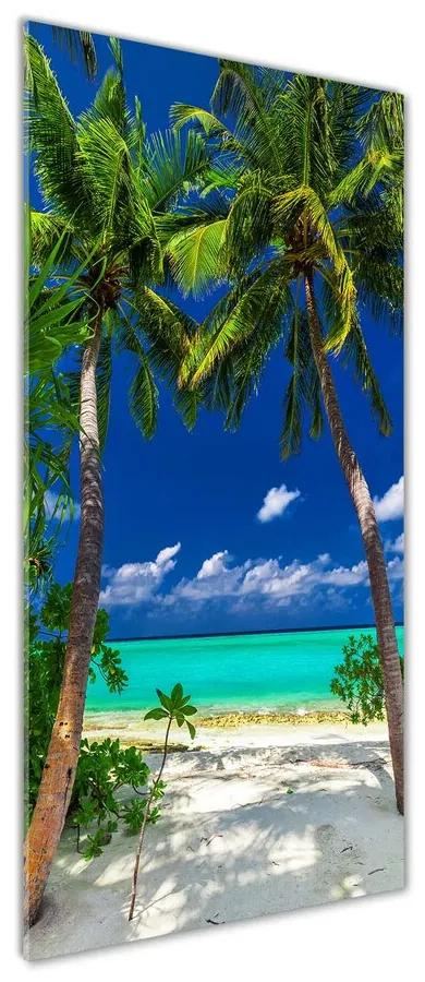 Wallmuralia Foto obraz skleněný svislý Tropická pláž 50x125 cm