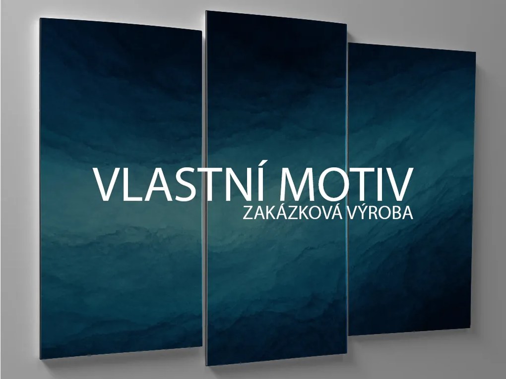 Vlastní motiv obraz Rozměr: 120 x 80 cm