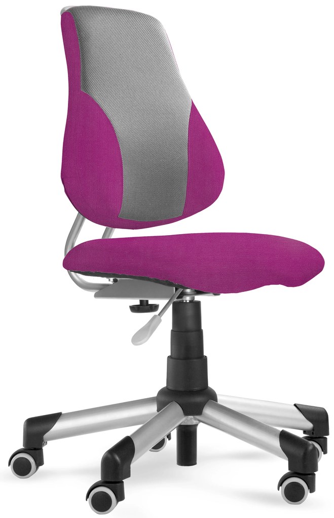 Mayer CZ Dětská rostoucí židle Actikid 2428 A2 40