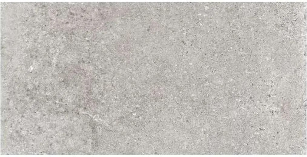 EBS Provence - Dlažba 30x60 cm, matná grey ROJ89420